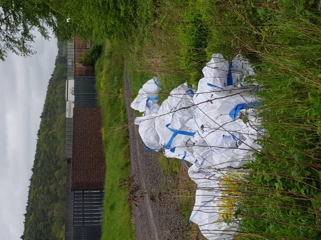 Asbestabfälle illegal entsorgt - Stadt Kaiserslautern