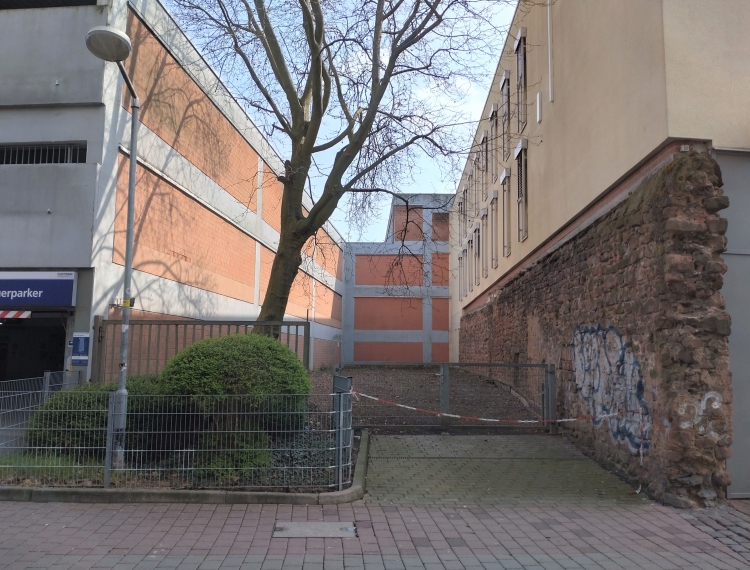 Skateanlage entscheidet knappes Rennen für sich - Stadt Kaiserslautern